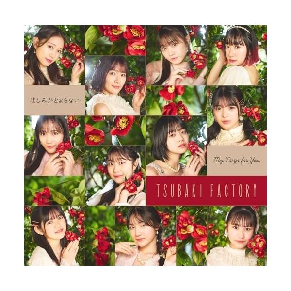 【発売日：2025年06月04日】つばきファクトリー (ツバキファクトリー つばきふぁくとりー)2025年6月4日 発売つばきファクトリーのメジャー通算13作目となる両A面シングルリリース決定!2025年4月30日をもって卒業することを発表...