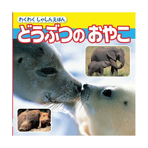 ゾウ、キリン、ライオン、りす、ももんが、イルカなど動物親子が愛くるしい姿で絵本に収まっています。定価 : 825円JANコード : 9784909562067商品番号 : GS-04わくわくしゃしんえほんシリーズ 写真 絵本 えほん 象 ゾ...