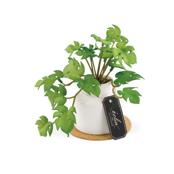 シンプルで長く愛せる人気の植物が揃うグリーンインテリア定価 : 1628円JANコード : 4952317612499商品番号 : KH-61249