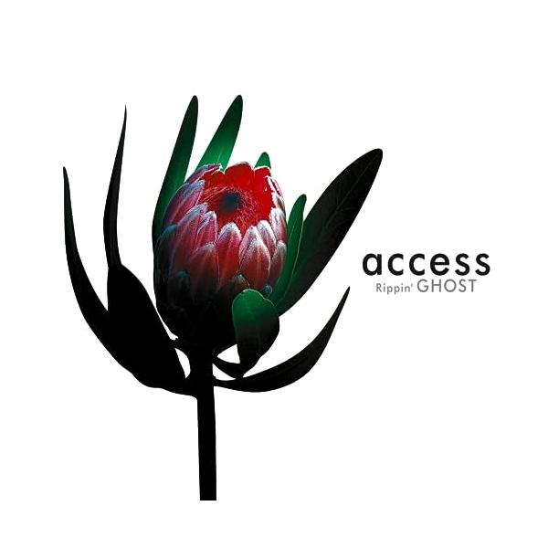 【発売日：2023年11月08日】access (アクセス あくせす)2023年11月8日 発売2002年、7年振りの活動再開は驚きと喜びで迎えられ、シングル、アルバムを発表し、全国ツアー、武道館2daysと充実した活動を行ったが、間髪入れ...