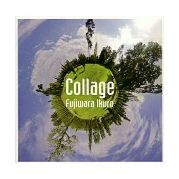 【発売日：2008年08月06日】藤原いくろう (フジワライクロウ ふじわらいくろう)2008年8月6日 発売映画『ヤッターマン』の音楽や、ASKAシンフォニックコンサートなど、幅広い活動で知られる銀髪の音楽家・藤原いくろうの4年振りに放つ...