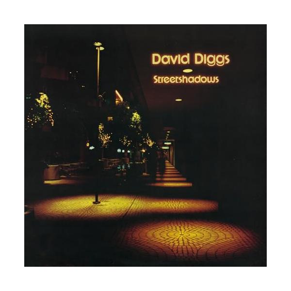 【発売日：2024年07月10日】デヴィッド・ディグス (ディグス デビッド でぃぐす でびっど)2024年7月10日 発売数多くのCCM作品をプロデュースしてきたLAの鍵盤奏者/アレンジャー/プロデューサーであるデヴィッド・ディグスの84...