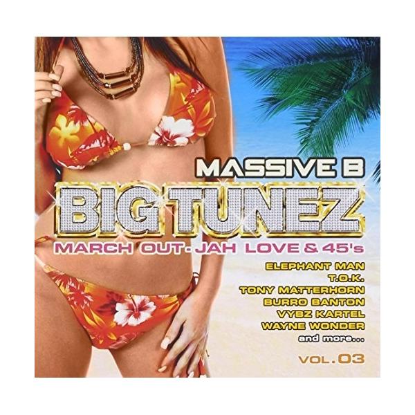 【発売日：2007年02月14日】オムニバス (エレファント・マン、T.O.K.、トニー・マタロン、ブロ・バントン、ヴァイブス・カーテル、ウェイン・ワンダー、キング・コング)2007年2月14日 発売NY,HOT97で最も熱いレゲエを流すボ...