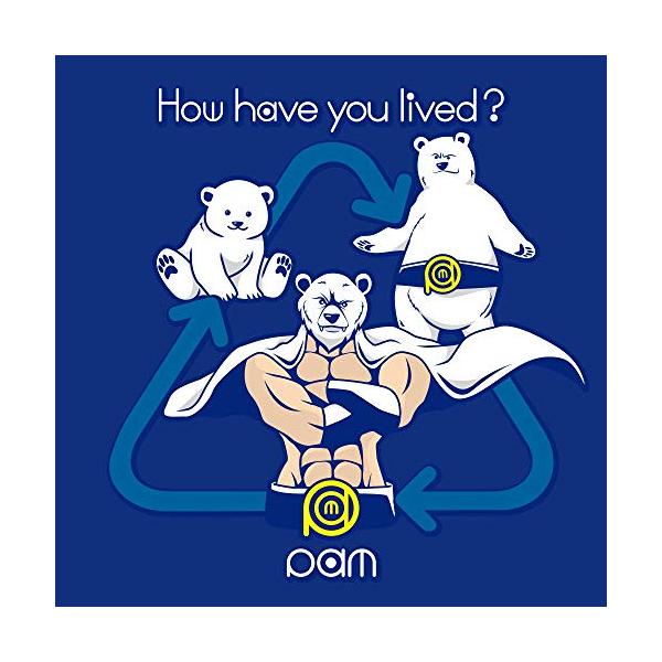 【発売日：2019年09月04日】PAM (パム ぱむ)2019年9月4日 発売(PAMはたった今、Rockと言うカテゴリーで、インストで何を表現したいのか?)と言う全てを表現した初のフルアルバムが遂に完成!!1曲目から攻撃的の中に繊細なギ...