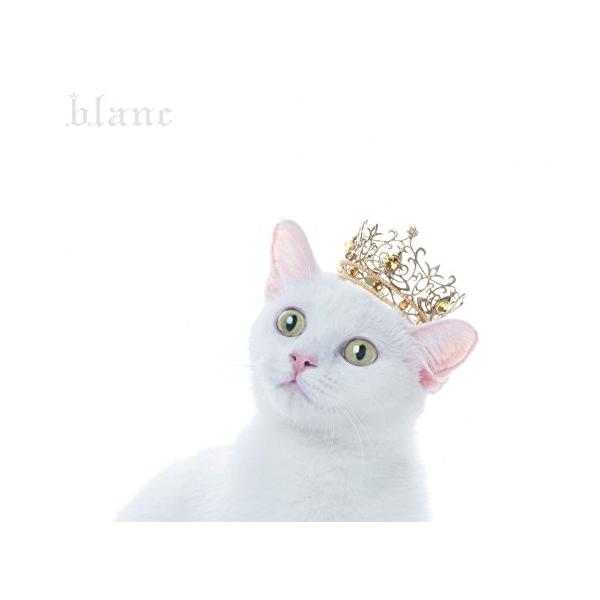 【発売日：2017年05月03日】Aimer (エメ えめ)2017年5月3日 発売野田洋次郎(RADWIMPS)楽曲提供による「蝶々結び」や、代表曲「あなたに出会わなければ〜夏雪冬花〜」を収録。デビュー曲「六等星の夜」やシングル「茜さす」...