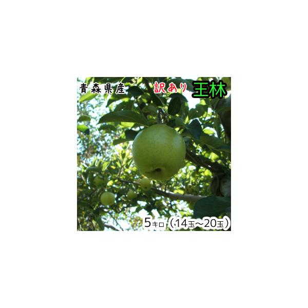 【発売日：2025年11月10日】ゴールデンデリシャスと印度の交配品種です。果汁が多く強い甘さがあり青りんごの中では、一番人気のりんごです。 また、香りも青りんご独特のいい香りがします。今まであまり王林が好きではなかった方も、当店の王林を食...