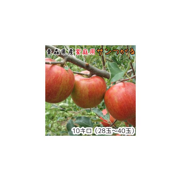 【発売日：2026年09月13日】サンつがるは、とっても果汁が多く甘味が強いのが特徴です。 食べると豊富な果汁と甘みがジュワ〜と溢れ出てきます。早生品種の中で、一番人気のある代表品種です。当店でも人気が高く評判が非常によいです。その一方で、...