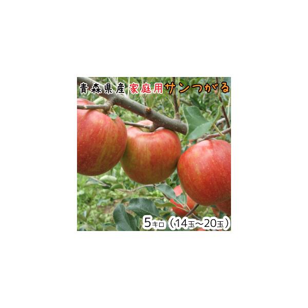【発売日：2026年09月13日】サンつがるは、とっても果汁が多く甘味が強いのが特徴です。 食べると豊富な果汁と甘みがジュワ〜と溢れ出てきます。早生品種の中で、一番人気のある代表品種です。当店でも人気が高く評判が非常によいです。その一方で、...