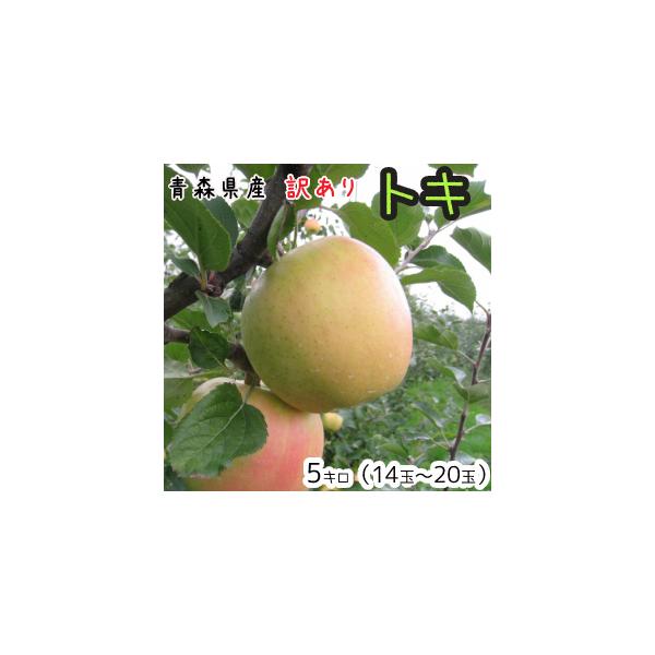 【発売日：2026年10月01日】トキは、当初土岐伝四郎さんが「王林」と「紅月」を交配育成したもので2004年に登録された品種でしたが、遺伝子型から「王林」と「ふじ」の交配だといわれております。つまり、りんごの中でも1位、2位を争う人気品種...