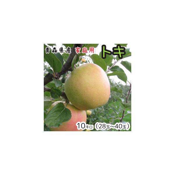 【発売日：2026年10月01日】トキは、当初土岐伝四郎さんが「王林」と「紅月」を交配育成したもので2004年に登録された品種でしたが、遺伝子型から「王林」と「ふじ」の交配だといわれております。つまり、りんごの中でも1位、2位を争う人気品種...