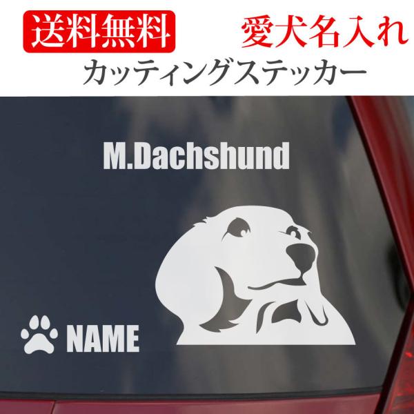 ミニチュアダックスのステッカー縦横どちらか大きいほうがＳは130mm　Ｍは150mm　Lは180mm　です。犬のネームは英数半角で12文字以内です。 英数以外での犬のネームは粕取り前の切り文字になり、英数以外は６文字以内で一回り大きくなりま...