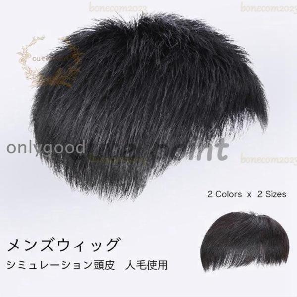 かつら メンズ ウィッグ 自然 セルフ増毛 人毛 部分ウィッグ 男性 薄毛対策 カツラ ショート エクステメンズ用部分ウィッグ普段のイメージをがらっとチェンジ、初心者でも簡単に挑戦人毛を使用、自髪に似てる色合いと質感で髪の量を自然と増やす専...