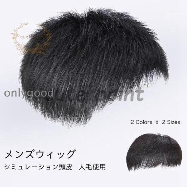 かつら メンズ ウィッグ 自然 セルフ増毛 人毛 部分ウィッグ 男性 薄毛対策 カツラ ショート エクステメンズ用部分ウィッグが新普段のイメージをがらっとチェンジ、初心者でも簡単に挑戦人毛を使用、自髪に似てる色合いと質感で髪の量を自然と増や...