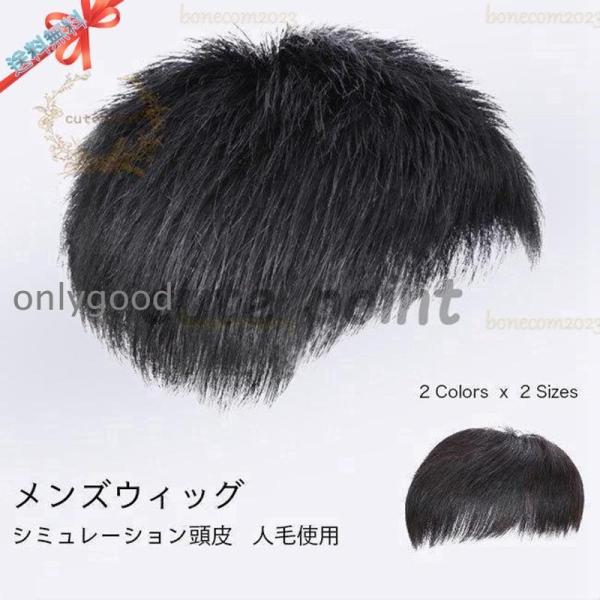 かつら メンズ ウィッグ 自然 セルフ増毛 人毛 部分ウィッグ 男性 薄毛対策 カツラ ショート エクステメンズ用部分ウィッグが新普段のイメージをがらっとチェンジ、初心者でも簡単に挑戦人毛を使用、自髪に似てる色合いと質感で髪の量を自然と増や...