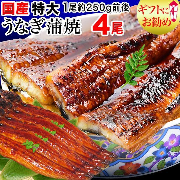（パック セット）国産 ウナギ　うなぎ蒲焼き 国内産　特大サイズ うなぎ4尾（計、約1kg）　送料無料 ギフト  南九州、美味しい湧水で知られる霧島の近く、鹿児島県・宮崎県で 丹精込めて育てられた国産うなぎから、丸々と太った選別品を使用 特...