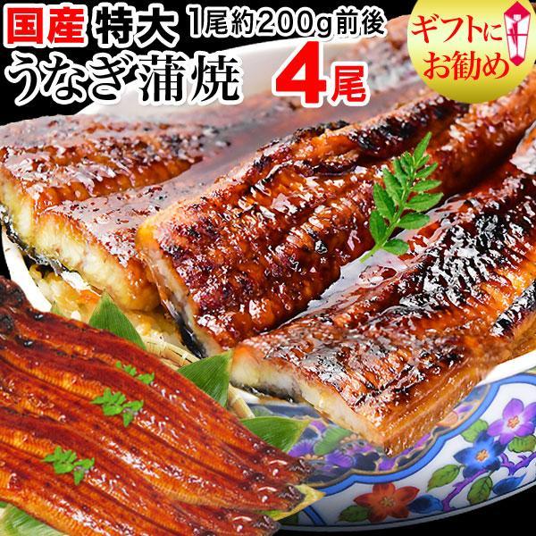 ギフト プレゼント　うなぎ 国産 鰻 セール（パック セット） 海鮮 セール 国産うなぎ 国内産  ウナギ　うなぎ蒲焼き ギフト　　国内産　特大サイズ　うなぎ4尾　送料無料　　南九州、美味しい湧水で知られる霧島の近く、鹿児島県・宮崎県で丹精...