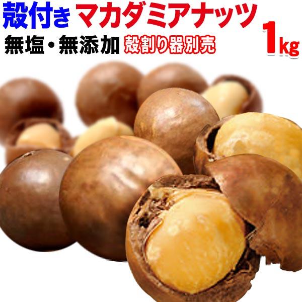 マカダミアナッツ 殻付き 1kg マカダミア 無添加・無塩 （オーストラリア産）ナッツ  送料無料 ロースト ポイント利用 製菓材料 マカデミアナッツ 殻を割るための専用のナッツクラッカーが必要となります。お持ちでない方は、別売のナッツクラ...