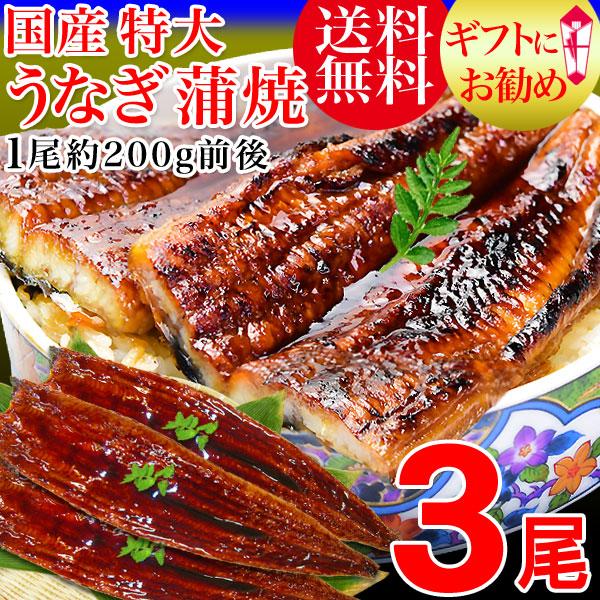 ポイント利用 うなぎ ギフト 鰻 セール 国産 ウナギ　うなぎ蒲焼き 国内産　特大サイズ うなぎ3尾　送料無料  ギフト南九州、美味しい湧水で知られる霧島の近く、鹿児島県・宮崎県で 丹精込めて育てられた国産うなぎから、丸々と太った選別品を使...