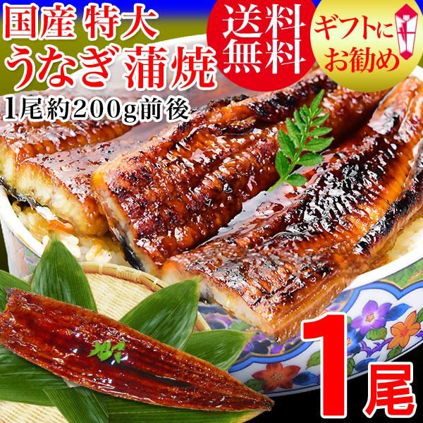 ポイント利用 うなぎ 蒲焼き 国産 鰻 うなぎ蒲焼き 1尾 特大　セール ウナギ　うなぎ蒲焼き 国内産　特大サイズ うなぎ１尾本品は特別価格での提供となりますため、1尾のみではギフト対応できません2尾以上の同梱お買い上げで、ギフト対応が出来...