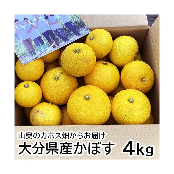 大分1号(種あり)かぼすは、大分を代表する昔からの品種です。香りや酸味がよく、しっかりしたカボスを味わいたい方にオススメ。ビタミンCとクエン酸がたっぷりの果汁は、お刺身、お味噌汁、焼き魚、お寿司、酢の物など、使い方はいろいろ！素材の味を引き...