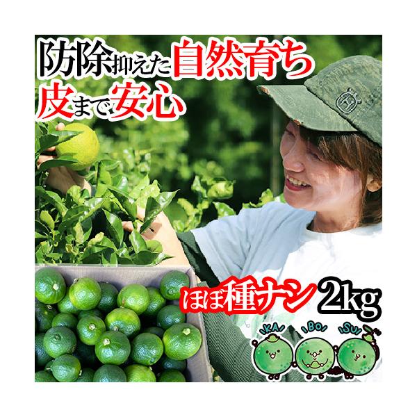 豊後大野市緒方町で発見され、祖母山にちなんで「祖母の香(そぼのか)」と命名された、ほとんど種なしのかぼすです。（※種なしの品種ですが、種がある場合もございます。予めご了承ください。）一般流通している種ありかぼす（大分1号）に比べると、少し小...