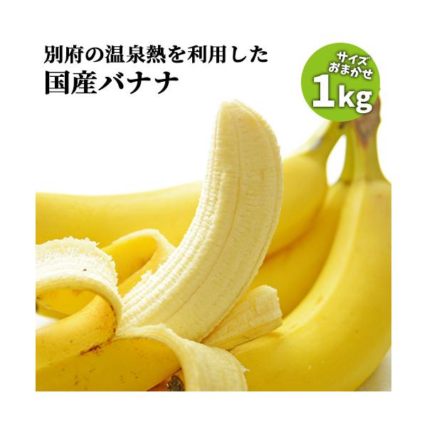 大分県は別府市、薫りただよう温泉熱の蒸気をハウス内に送り込み自然の恵みで育てた国産バナナです。栽培期間中農薬不使用、バナナの茎葉を堆肥化し廃棄物ゼロ、土に戻し有機肥料も利用しています。濃密な甘み、濃厚な食感、爽やかな味わいをお楽しみ下さい。...