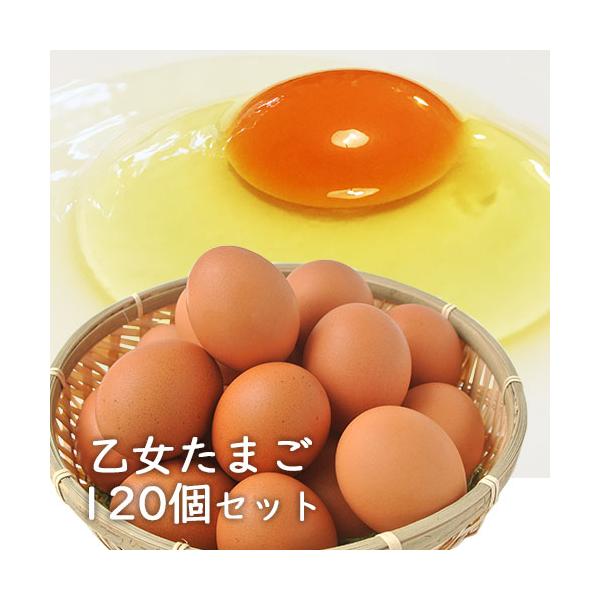 ヒヨコを孵化、育成し、鶏卵を集卵するまで一貫生産した卵です。手間と愛情をかけて鶏を飼育しております。＜乙女たまご３つのこだわり＞【エサ】魚粉や乳酸菌を配合し、美味しさを追求しました。【環境】世界農業遺産に認定された、国東半島・宇佐地域の農場...