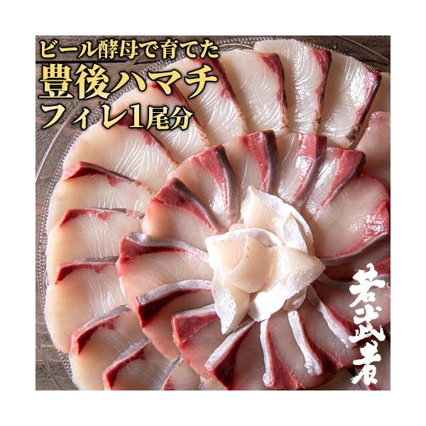 大分県佐伯市蒲江育ちの新ブランド魚-ビール酵母で育てた豊後ハマチ-「若武者」は生後２〜３日の稚魚から一貫した養殖を行い、1年半かけて育てて販売しています。こだわりの餌による給餌でアミノ酸数値の向上と、旨味成分(イノシン酸とグルタミン酸)の上...