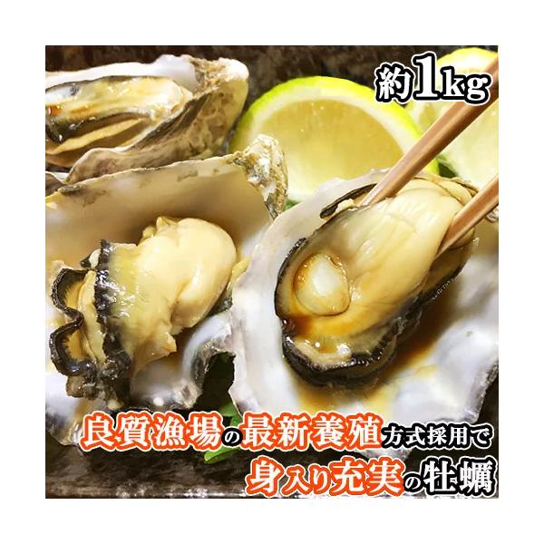 大分県佐伯市大入島の湾は、全国的に見ても非常に優れた牡蠣の漁場です。 この湾で日本初となるフリップファームシステムというカキ養殖方法を取り入れ、育成させた牡蠣が大入島オイスターです。合同会社 新栄丸[名称]冷凍牡蠣[内容量]約1kg