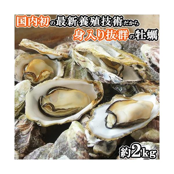 大分県佐伯市大入島の湾は、全国的に見ても非常に優れた牡蠣の漁場です。 この湾で日本初となるフリップファームシステムというカキ養殖方法を取り入れ、育成させた牡蠣が大入島オイスターです。合同会社 新栄丸[名称]冷凍牡蠣[内容量]約2kg