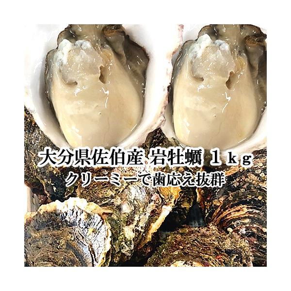 自然界にあるプランクトンを食べて、約1年半以上かけて大きく成長した牡蠣は、 クセや臭みがなく、クリーミーで濃厚な旨みが味わえます。 岩牡蠣/ 合同会社 新栄丸[名称] かき[賞味期限] 発送から5日 [内容量] 1kg
