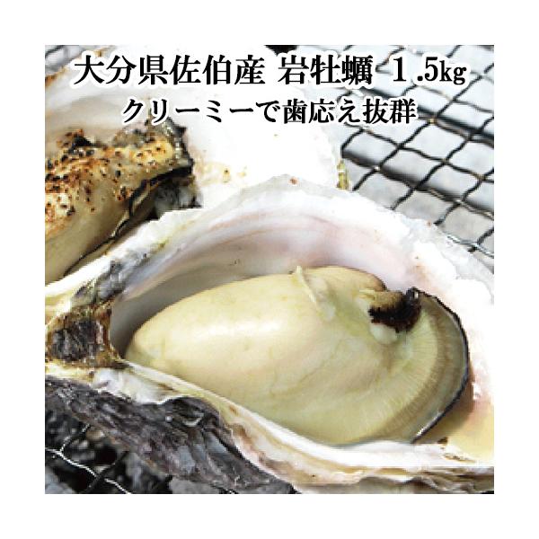 自然界にあるプランクトンを食べて、約1年半以上かけて大きく成長した牡蠣は、 クセや臭みがなく、クリーミーで濃厚な旨みが味わえます。 岩牡蠣/ 合同会社 新栄丸[名称] かき[賞味期限] 発送から5日 [内容量] 1.5kg