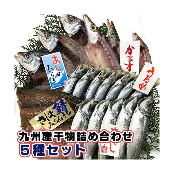 ※お届け内容は魚の水揚げにより変更になる場合があります。あらかじめご了承ください。豊後水道と日向灘の潮流が流れ込む海で育まれたおすすめの干物詰め合わせです。（例：アジ開き・カマス開き・サバみりん干しソフト・アジ丸干し・ウルメ丸干し）など5種...