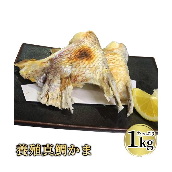 塩水で2日間かけてしっかり血抜きをした鯛かまです。血抜きをしてから冷凍するのでとっても新鮮！塩焼きや照り焼き、煮つけにしたり、お鍋に入れたりと様々なお料理にお使い頂けます。[内容量]　約1kg(10〜14個前後)※季節によってサイズ感が異な...