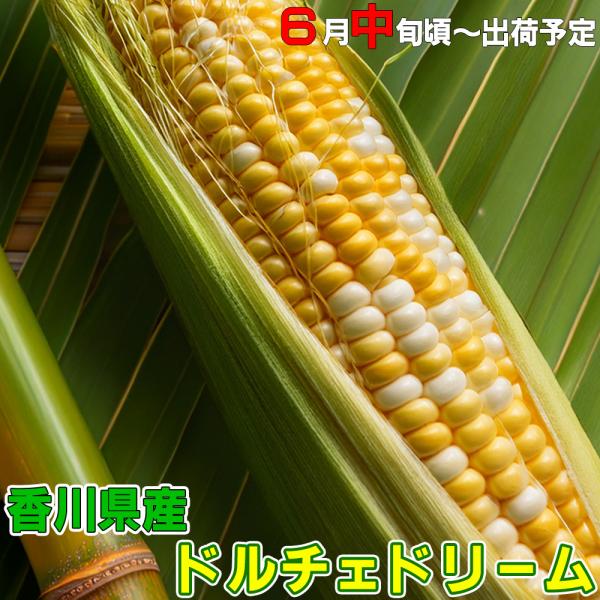 ■商品説明■商品種別名（地方名、別名等） スイートコーン品種 ドルチェドリーム産地 香川県産収穫時期 6月中旬頃より出荷予定