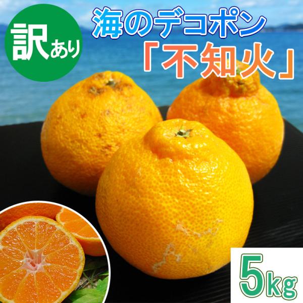味の濃い高級みかん。キズ等があるので訳あり販売します。 --------------------------------------------------------------------------------■商品種別名（地方名、別...