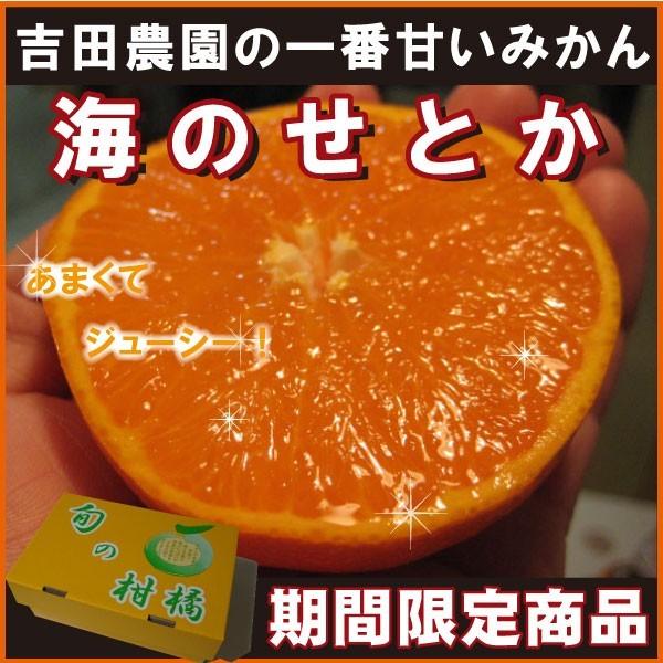 みかん類の中でも「じょうのう」が薄く、糖度が高いのが特徴の高級みかん。 --------------------------------------------------------------------------------■商品種...