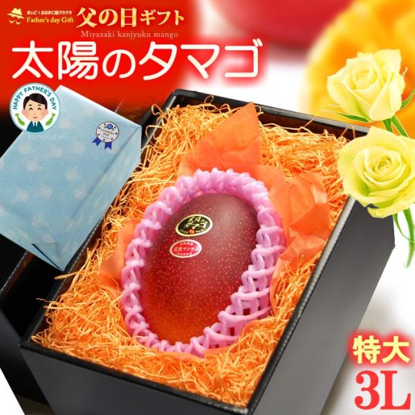 【発売日：2026年06月16日】商品名 : 太陽のタマゴ内容量/産地 : 3Lサイズ×1玉(約460g)赤秀〜青秀/宮崎発送時期 : 6月16日〜21日お届け(指定日不可)発送形態 : ヤマト運輸 常温便送料 : 送料込(北海道・沖縄・離...