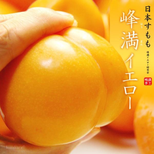 【発売日：2026年09月23日】商品名 : 峰満イエロープラム内容量/産地 : 10玉〜15玉前後(約2kg)/山形発送時期 : 9月下旬-10月下旬（指定日不可）発送形態 : ヤマト運輸 冷蔵便送料 : 送料込(北海道・沖縄・離島地域へ...