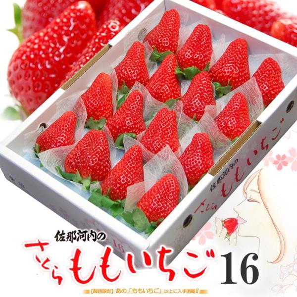 【発売日：2026年01月15日】商品名 : さくらももいちご内容量/産地 : 化粧箱入り 約700g(16粒)/徳島県佐那河内産発送時期 : 12月中旬〜4月中旬発送形態 : ヤマト運輸 冷蔵便 送料 : 送料込(北海道・沖縄・離島地域へ...