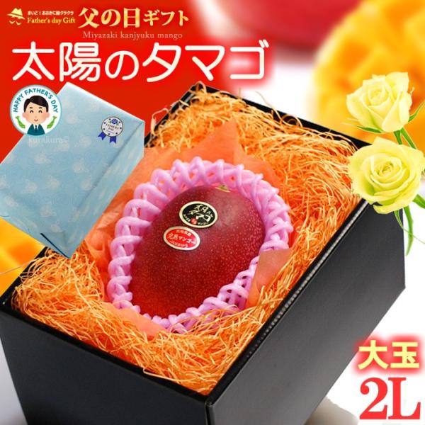【発売日：2026年06月16日】商品名 : 太陽のタマゴ内容量/産地 : 大玉2Lサイズ×1玉(約350g)赤秀〜青秀/宮崎発送時期 : 6月16日〜21日お届け(指定日不可)発送形態 : ヤマト運輸 常温便送料 : 送料込(北海道・沖縄...
