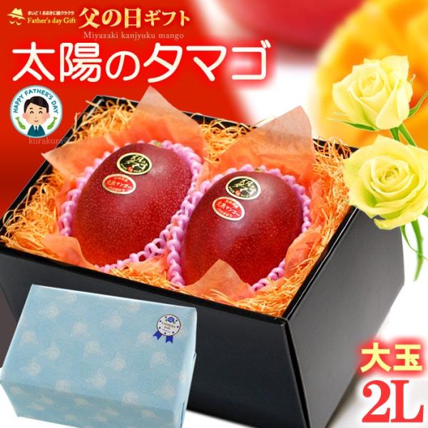 【発売日：2026年06月16日】商品名 : 太陽のタマゴ内容量/産地 : 2Lサイズ×2玉(約700g)赤秀〜青秀/宮崎発送時期 : 6月16日〜21日お届け(指定日不可)発送形態 : ヤマト運輸 常温便送料 : 送料込(北海道・沖縄・離...