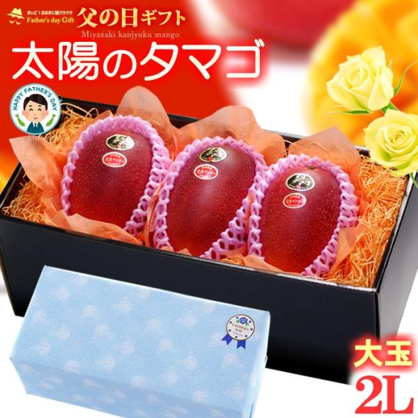 【発売日：2026年06月16日】商品名 : 太陽のタマゴ内容量/産地 : 2Lサイズ×3玉(約1kg)赤秀〜青秀/宮崎発送時期 : 6月16日〜21日お届け(指定日不可)発送形態 : ヤマト運輸 常温便送料 : 送料込(北海道・沖縄・離島...