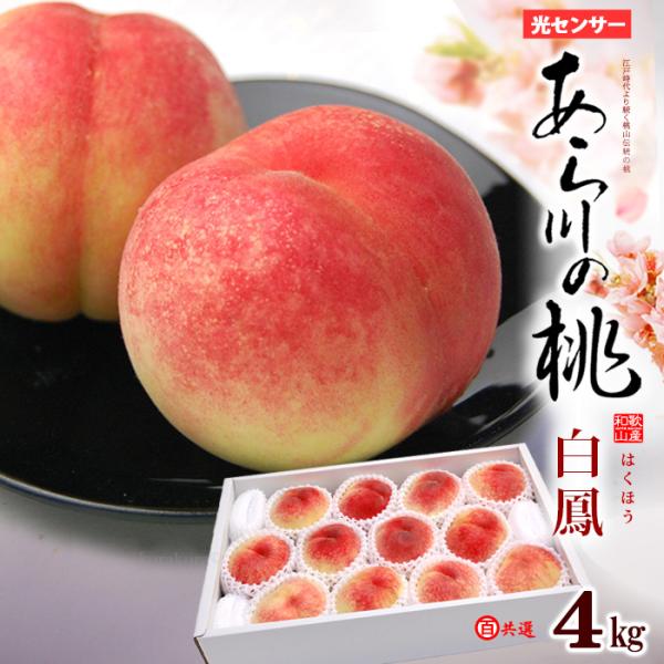 【発売日：2026年07月07日】商品名 : あら川の桃 白鳳内容量/産地 : 12玉前後(約4kg)/和歌山発送時期 : 白鳳→7月中旬〜下旬(指定日不可)発送形態 : ヤマト運輸 常温便送料 : 送料込(北海道・沖縄・離島地域へのお届け...