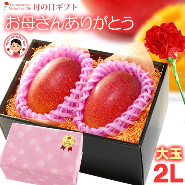 【発売日：2026年05月05日】商品名 : 宮崎マンゴー内容量/産地 : 2L×2玉(計 約700g)赤秀〜青秀/宮崎発送時期 : 5月5日〜10日にお届け(ご注文順)発送形態 : ヤマト運輸 常温便 送料 : 送料込(北海道・沖縄・離島...