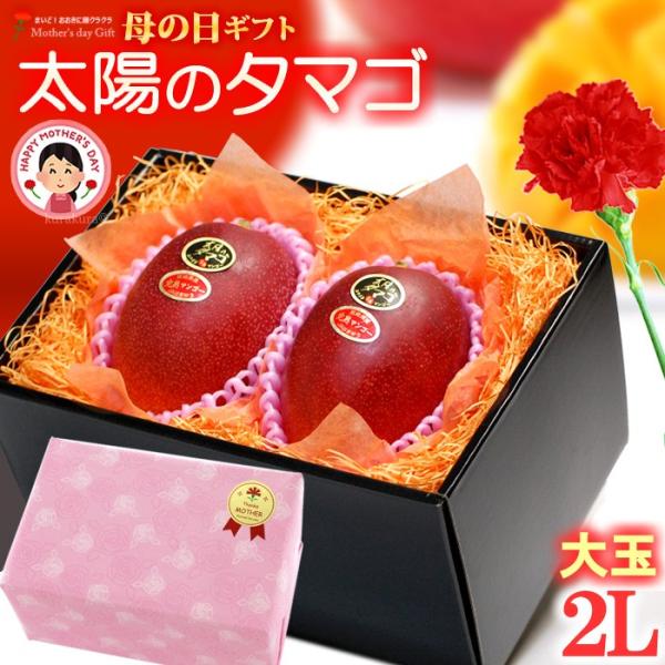 【発売日：2026年05月05日】商品名 : 太陽のタマゴ内容量/産地 : 2L×2玉(計 約700g)赤秀〜青秀/宮崎発送時期 : 5月5日〜10日にお届け(ご注文順)発送形態 : ヤマト運輸 常温便 送料 : 送料込(北海道・沖縄・離島...
