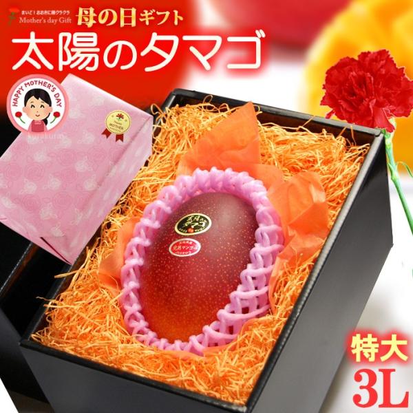 【発売日：2026年05月05日】商品名 : 太陽のタマゴ内容量/産地 : 3L×1玉(約460g)赤秀〜青秀/宮崎発送時期 : 5月5日〜10日にお届け(ご注文順)発送形態 : ヤマト運輸 常温便 送料 : 送料込(北海道・沖縄・離島地域...