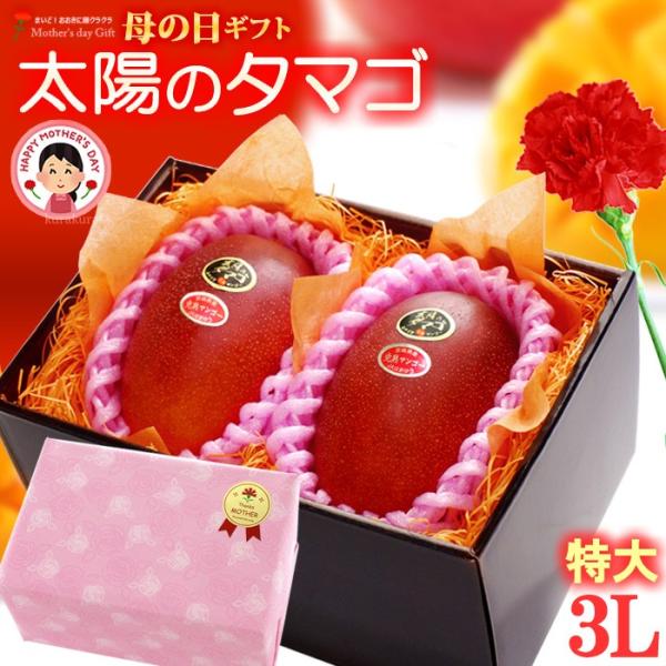 【発売日：2026年05月05日】商品名 : 太陽のタマゴ内容量/産地 : 3L×2玉(計 約920g以上)赤秀〜青秀/宮崎発送時期 : 5月5日〜10日にお届け(ご注文順)発送形態 : ヤマト運輸 常温便 送料 : 送料込(北海道・沖縄・...