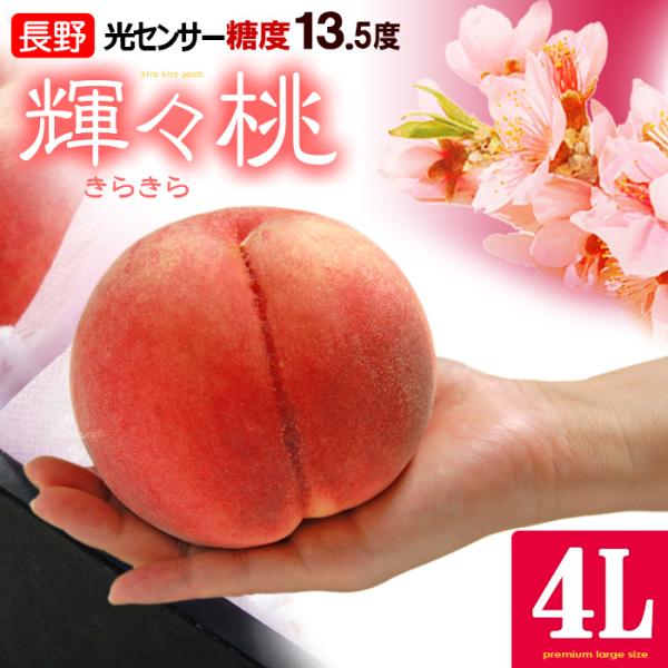 【発売日：2026年08月24日】商品名 : 輝々桃内容量/産地 : 4L×6玉(約2.4kg)/長野発送時期 : 8月下旬-9月上旬(指定日不可)発送形態 : ヤマト運輸 常温便送料 : 送料込(北海道・沖縄・離島地域へのお届けは追加送料...