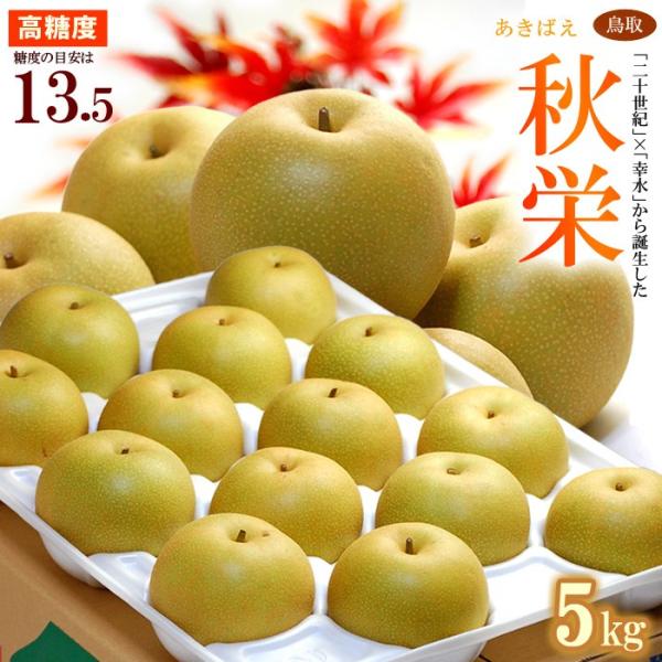 【発売日：2026年08月20日】商品名 : 秋栄梨内容量/産地 : 12-14玉(約5kg)/鳥取発送時期 : 8月中旬-下旬(指定日不可)発送形態 : ヤマト運輸 常温便送料 : 送料込(北海道・沖縄・離島地域へのお届けは追加送料1,2...